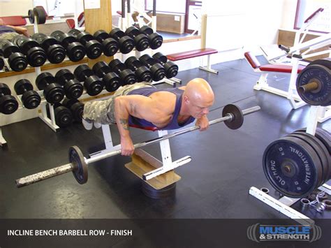 Barbell Row Guide At Elias Hull Blog
