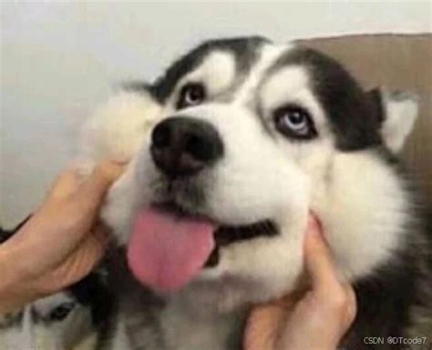 Vue和jquery横向对比vue Jquery Csdn博客