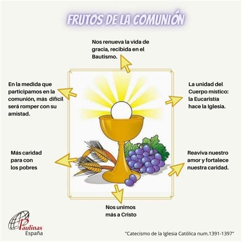 ¿qué Necesitas Para Hacer La Primera Comunión