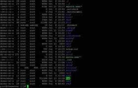 El Efecto Del Codigo Linux Timeline Timetoast Timelines