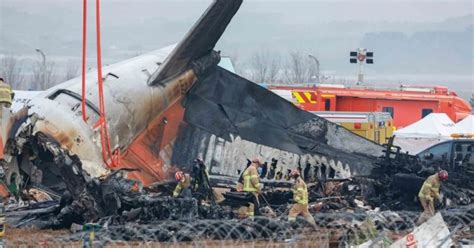 여자 기장 알고 촬영…악플·가짜뉴스 만들고 퍼나르다 낭패