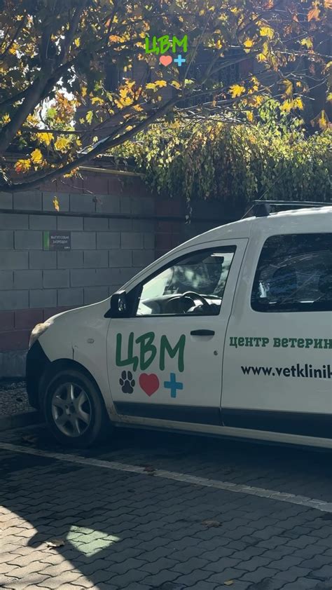 Многопрофильная Ветеринарная Клиника Алматы ЗООТАКСИ в ЦВМ 🍀 Перевозка животных — важный