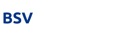 bsv区块链