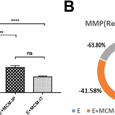 A Analysis Of The Mitochondrial Membrane Potential Mmp Of Download Scientific Diagram