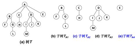 【数据结构】4 1 树和二叉树的基本概念与性质 树和二叉树的定义和术语 csdn博客