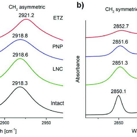 Fitted Significant Peaks Of Ch2 Symmetric And Asymmetric Stretching Download Scientific Diagram