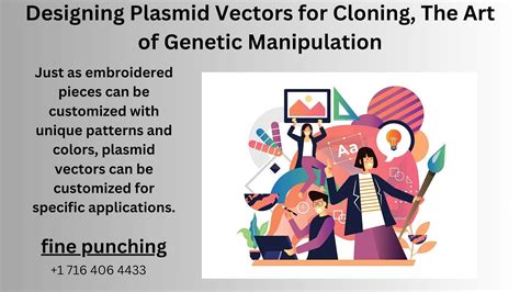 Designing A Plasmid Vector For Efficient Cloning By Fine Punching Medium