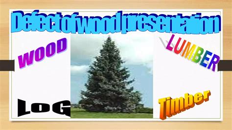 Defects In Wood Pptx