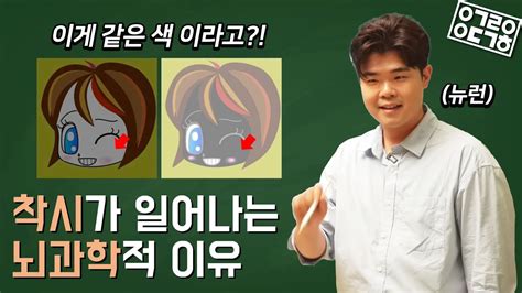 우리의 뇌는 과연 현실을 보는 것일까 착시가 일어나는 뇌과학적 이유는 안될과학 뉴런 Youtube