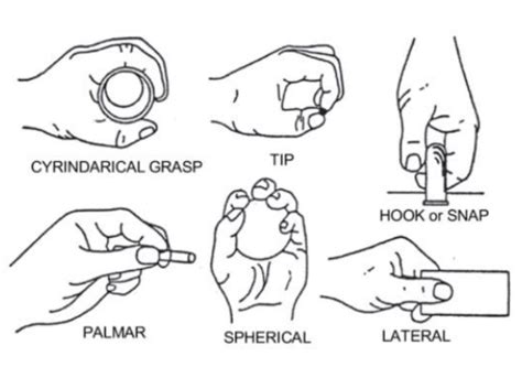 Github Vvidyasagarr Ml And Dl Models For Classifiaction Of Semg Signals