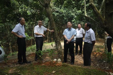 冯彤到阳江农垦调研 阳江农垦信息网