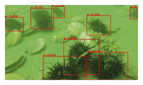Multidirectional Detection Target Detection Result Graph Of Issd A Download Scientific