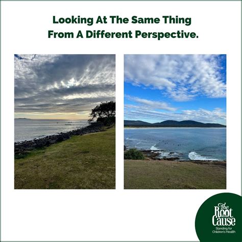 Different Perspectives The Root Cause