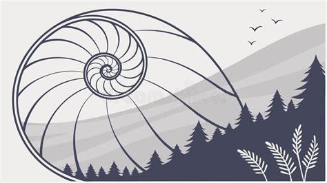Nautilus Shell Spiral Fibonacci Sequence And Natural Geometry Golden