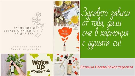 Бахова терапия кой е д р Бах предимства на Терапията приложение четири цветни есенции Youtube