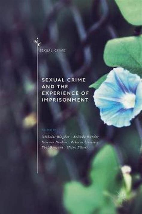 Sexual Crime Sexual Crime And The Experience Of Imprisonment 9783030049294 Boeken Bol Com
