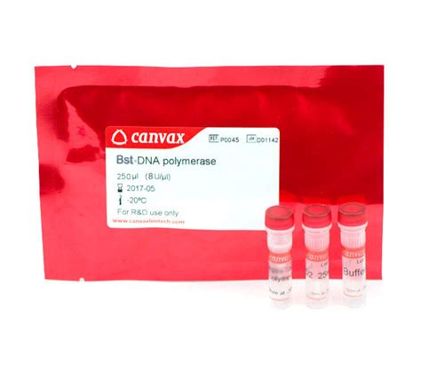 Bst Dna Polymerase Canvax
