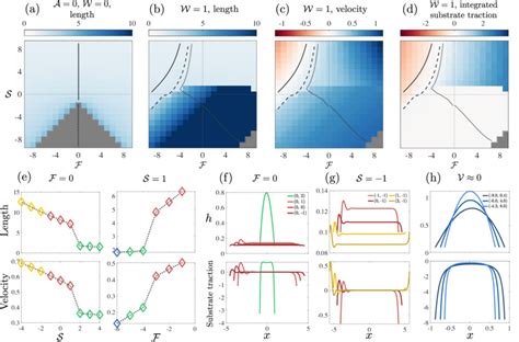 Polymerising Drops A Length Of A Passive Drop B Length Of A Download Scientific Diagram
