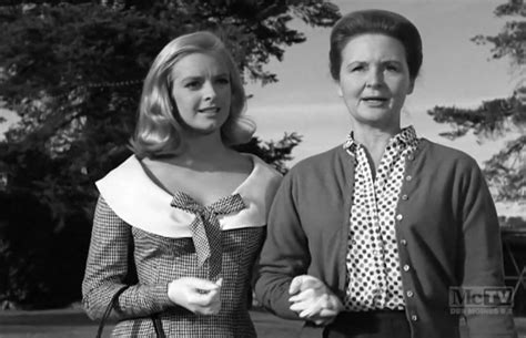 The Case Of The Golden Venom 1965
