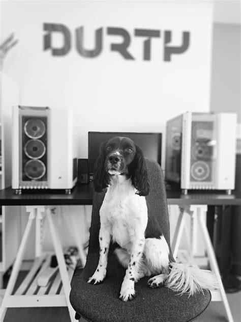 Weve Been A Bit Quiet Lately But For Good Reason Theres Been A Lot Happening Behind The