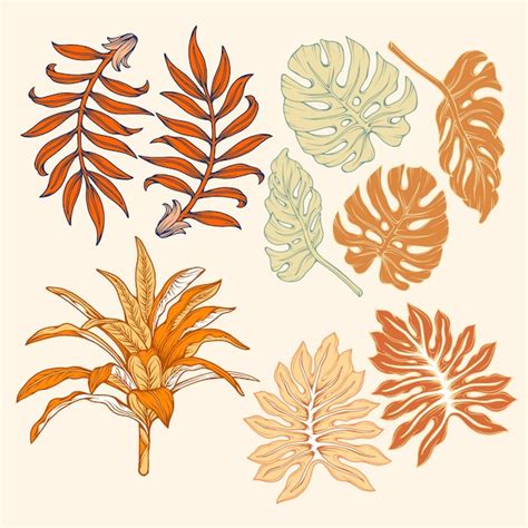 Premium Vector Floral Leaf Pattern Vector Line Art Illustration