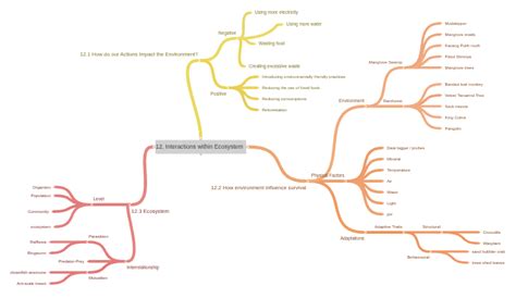 Interactions Within Ecosystem Coggle Diagram