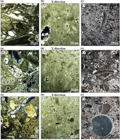 Polarized Optical Microscope Micrographs Of The Thin Sections Analysed Download Scientific