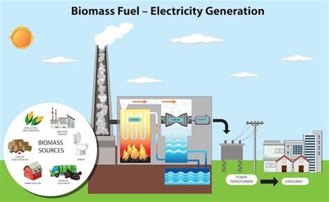 Diagrama De Planta De Biomasa El Nuevo Diseño De La Planta De Biogás