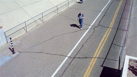 Pedestriansafetyproject Instance Segmentation Dataset By Shauryaagarwal