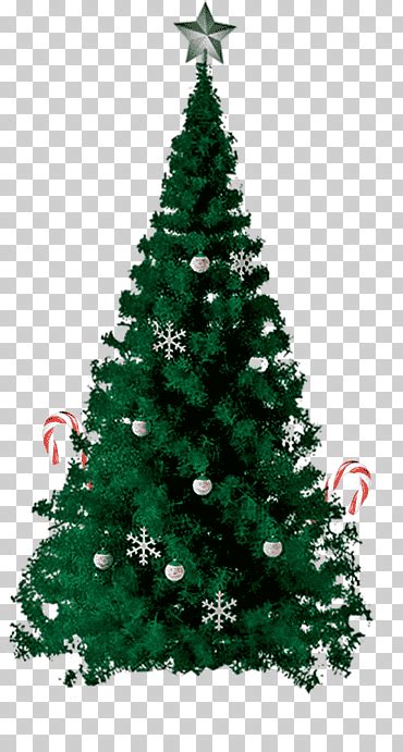 Tree Topper Png Images Klipartz