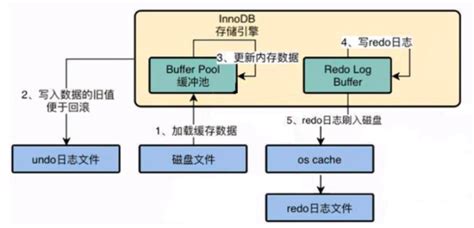 【mysql笔记】redo和undo日志 宅男 屌丝 程序员