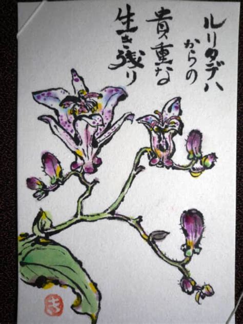 ホトトギス 絵手紙 交流ひろば てがみ倶楽部
