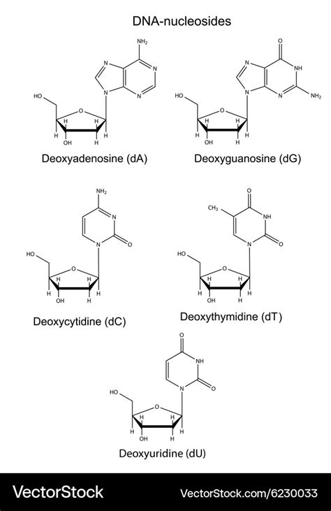 Dna Chemistry