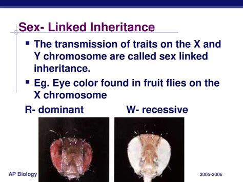 Beyond Mendels Laws Of Inheritance Ppt Download
