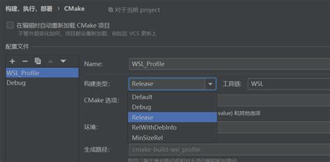 clion无法debug zk s blog