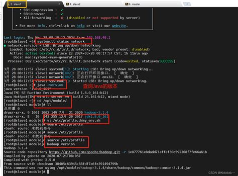 hadoop环境变量的配置 打印hadoop的环境变量 csdn博客