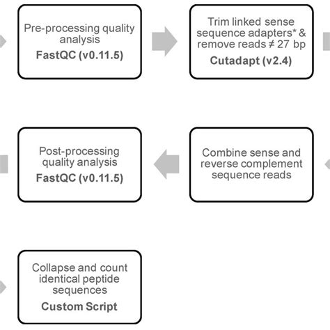 Gp8 Targeted Next Generation Sequencing Bioinformatics Workflow