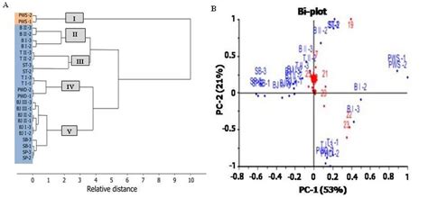 Multivariate Statistical Analysis For The Metabolic Profile Of S Download Scientific Diagram