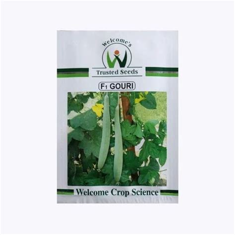 Gouri Sponge Gourd Seeds At Rs 7000 Seethaiah Donka Vidyanagar 1st