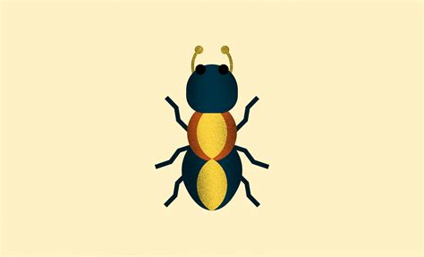 Insects Collection On Behance