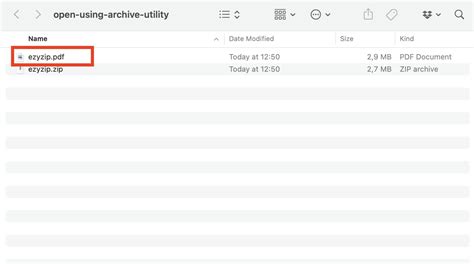 How To Open Password Protected ZIP File On MacOS Methods