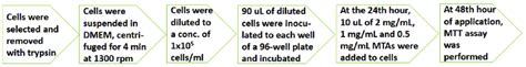 Flow Chart For Mtt Cytotoxicity Assay Procedure Mtt Download Scientific Diagram
