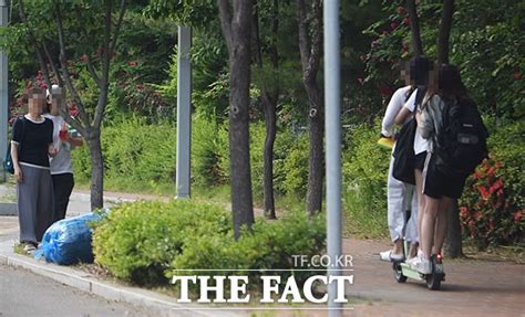 [현장fact] 3명이 껴안고 질주…공포의 킥보드 탄 중학생들 영상 사회 기사 더팩트