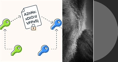 List Ssl Cert Curated By Alberto Medium