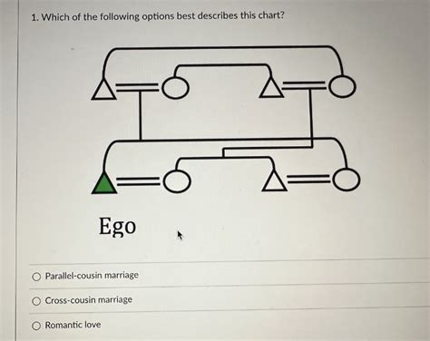 1 Which Of The Following Options Best Describes This