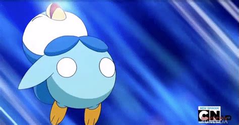 Pokemon In Action Digimon — Piplup Used Bubble Beam Black White Ep 41