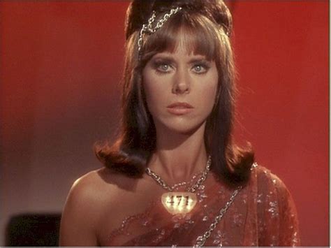 Star Trek Babes The Alice Series In I Mudd Science Fiction Star
