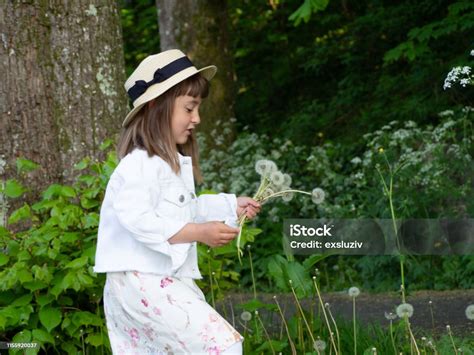 예쁜 어린 소녀가 꽃을 따고 있습니다 밀짚 모자를 쓴 햇볕이 잘 드는 아이가 초록색 숲에서 민들레를 따고 있다 여름 소녀입니다