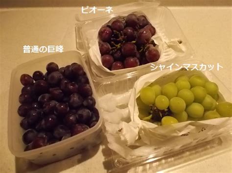 巨峰祭り しぇぱ山から