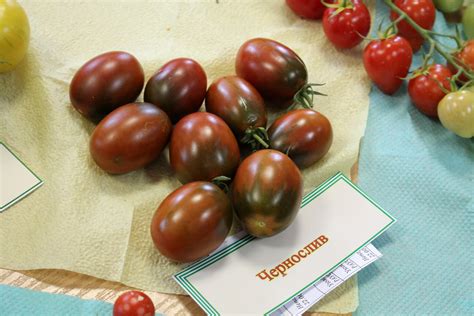 Томаты Чернослив Описание Сорта Фото – Telegraph